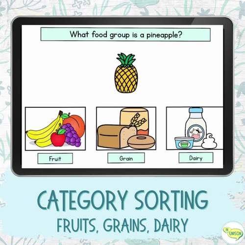 Food Category Sorting Boom Cards™ | Fruits Grains Dairy | TPT