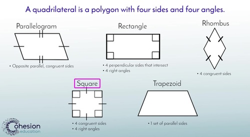 Identify & Classify Quadrilaterals by their Attributes by Cohesion ...