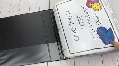 Teaching Strategies Gold (TSG) Assessment Binder by Catch'em Early