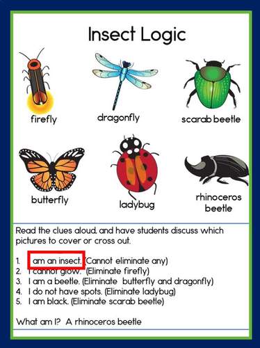 Insect Critical Thinking Math Logic Puzzles Enrichment Activities Brain ...
