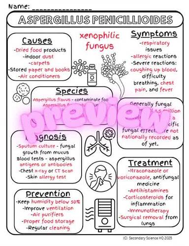 Aspergillus Penicillioides Doodle Notes | Health | FACS by Secondary ...