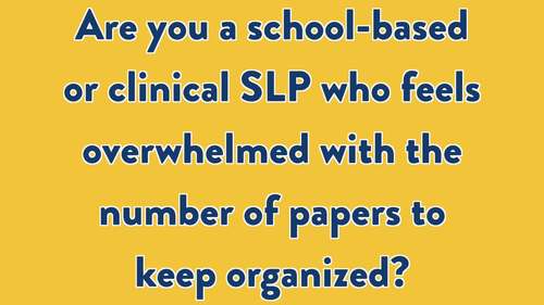 SLP PLANNER - Speech Therapy Organization and Data Planner ( Sanity ...