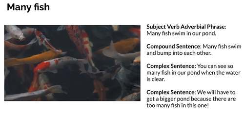 Concepts in Action: Many (as a Level 2 Quantity) by Speechies in Business