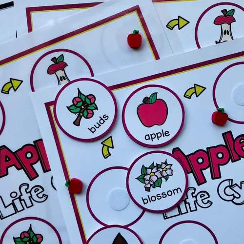 Apple Life Cycle Sequencing Activity Mat: An Apple's Life! | TPT