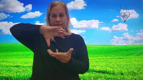 ASL Unit 7 Video 16 by Melissa Sexton | TPT