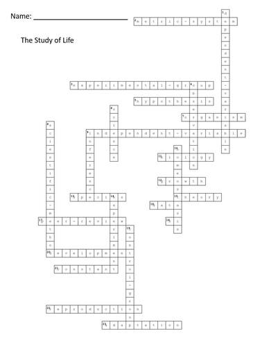 The Study of Life Vocabulary Puzzle Biology by Secondary Science HQ