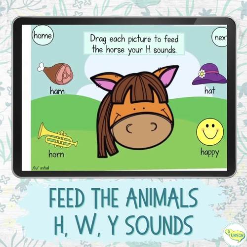 Feed the Animal H W Y Articulation Boom Cards™ for Speech Therapy