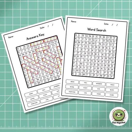 Duck Body Parts Anatomy Labeling | Pond Life & Farm Animal Science (No ...