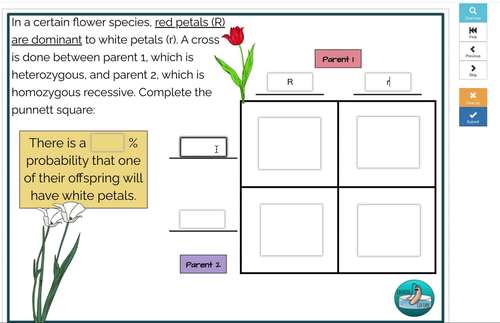 Punnett Squares and Patterns of Inheritance Digital Task Cards - Boom Cards