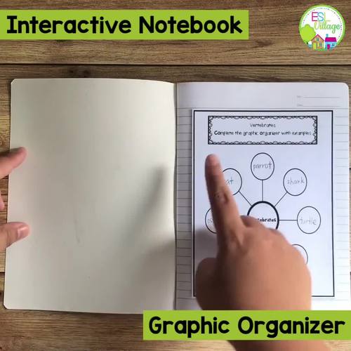 Animals Interactive Notebook by ESL VILLAGE | TPT