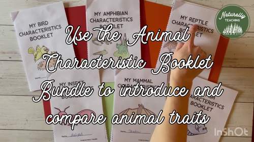 Animal Characteristic Booklet Bundle by Naturally Teaching | TPT