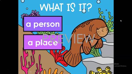 Nouns Mini Lesson Slides by Adrienne Wiggins | TPT