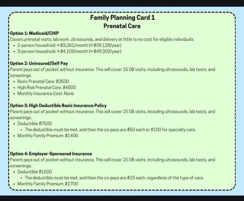 Baby Blitz Pathway to Parenting Game by Classroom Innovator Corner