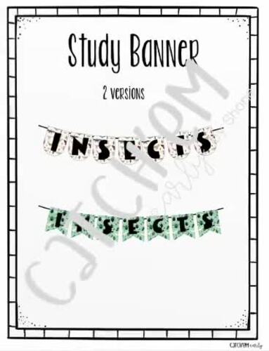 Insect Study/Creative Curriculum Teaching Strategies Gold/Preschool ...