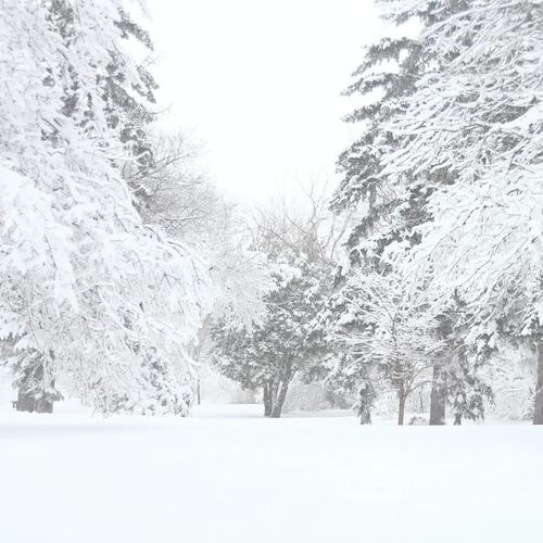 January First Year Teacher Bundle | New Teacher Bundle | 2nd - 4th Grade