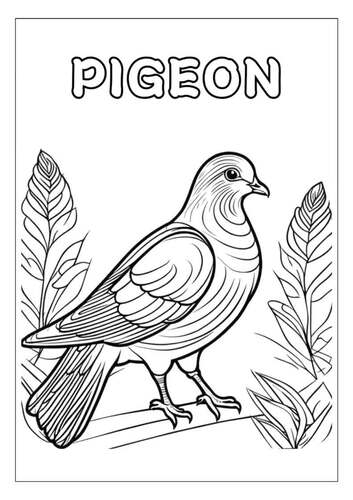 cute pigeon Printable Cute coloring sheet,Kids,illustration,Prek, page