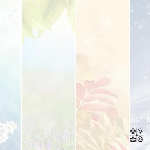 Seasons Student-Led Classroom Display | Spring, Summer, Autumn, Winter ...