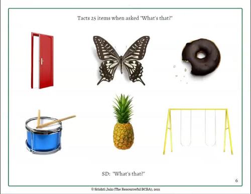 VB-MAPP Assessment Kit + Editable Data Sheets (Level 2 Materials)