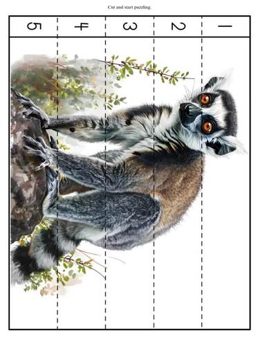 Lemur Unit Study and activity Pack, Instant Download by KINDERGENIUS
