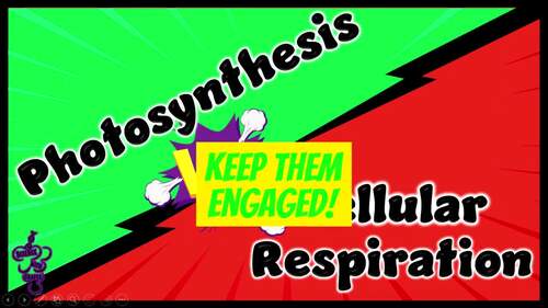 Introduction to Photosynthesis and Cell Respiration PowerPoint | TPT