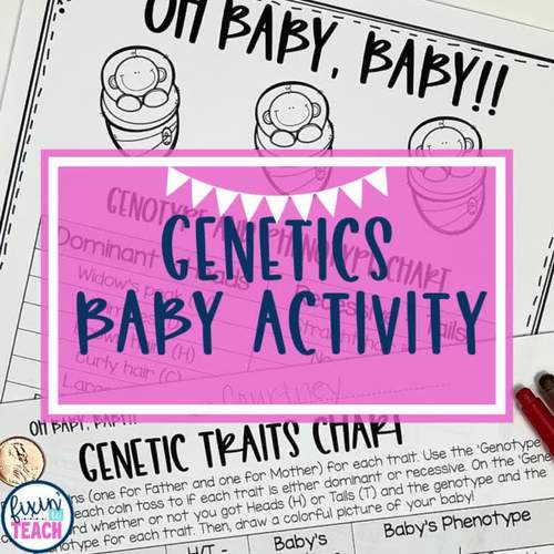 Genetics Create-a-Baby Activity for Middle School Science | Editable