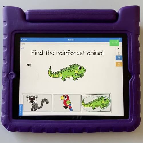 Rainforest Animals Boom™ Cards Activity by Full SPED Ahead -- Heather ...