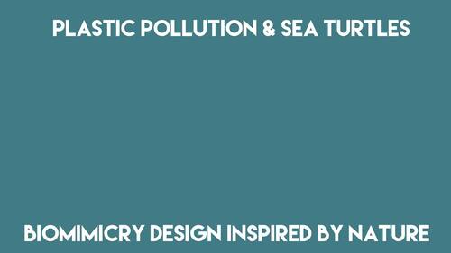 Plastic Pollution & Sea Turtles | Lapbook PBL Explore Solutions | TPT