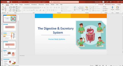 The Digestive & Excretory System Presentation by Marlana Swann | TPT