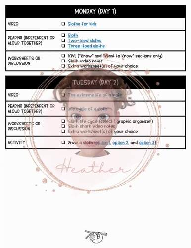 Sloth Unit Study | Rainforest Animals | Lesson Plan, Activities | NO PREP