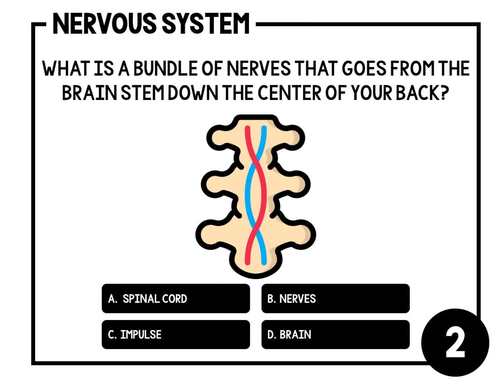 Nervous System Task Cards Activity | Print and Digital Science Task Cards