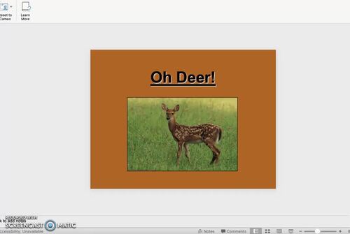 Natural Selection - Oh Deer Activity by Brandianne Emory | TPT