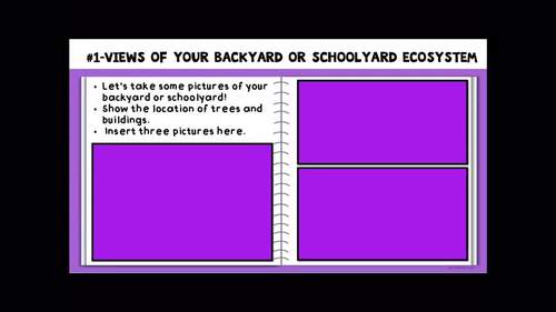 ABIOTIC BIOTIC ECOSYSTEMS Outdoor Activity Schoolyard Backyard Digital ...