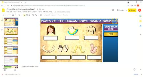 Health & Hygiene: Drag & Drop Worksheet: Google Slides. Interactive ...