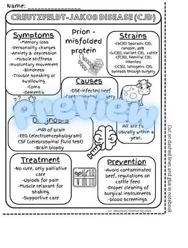 CJD Creutzfeldt-Jakob Disease Doodle Notes | Health | FACS | TPT