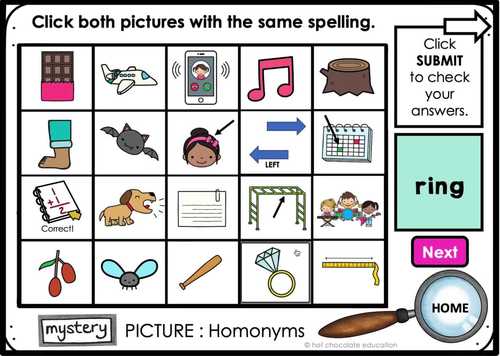 Multiple Meaning Words - HOMONYMS - Boom Cards™ Digital Mystery Picture