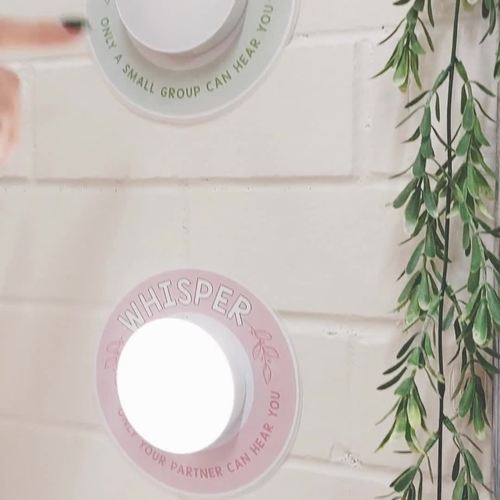 Classroom Voice Level / Noise Level Signs for Lights (Neutral and Boho)