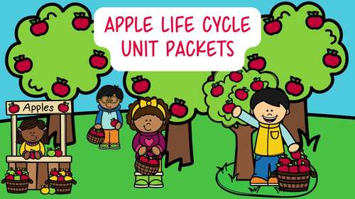 Apple Life Cycle September Worksheets PreK Kindergarten First Second TK