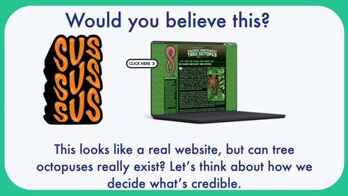 Digital Literacy Lesson Website Evaluation & Credibility Slides + Task ...