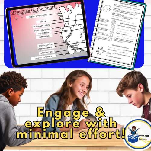 Circulatory system activities, heart scavenger hunt, craft, centers 7th ...