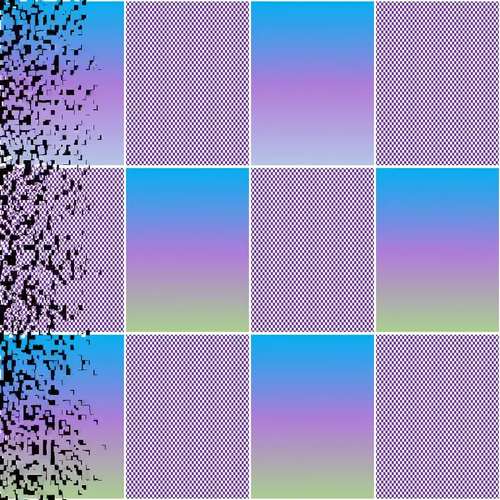 Vocabulary Wild Arctic Animals Hide and Reveal GAME Interactive BOOM CARDS