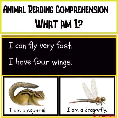 Animal Reading Comprehension-What am I ? Boom Cards by Disha Digital School