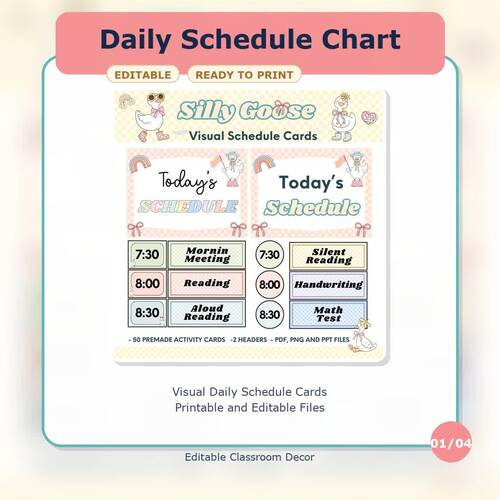 Silly Goose Daily Visual Schedule | Editable Groovy Cards by BABYDELL ART