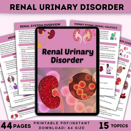 Renal Urinary Disorders, Study Guide, Nursing Student Resource, Health ...