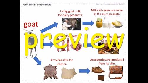 Farm Adult Animals Uses-What do they provide?- Information Slides ...