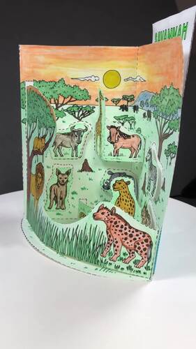 Savannah Biome Model - 3D Model - Biome Project | TPT