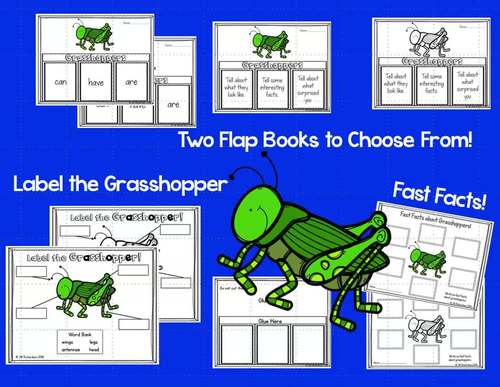 Grasshoppers Writing Flap Books! ELL Spring Preschool, Kindergarten ...
