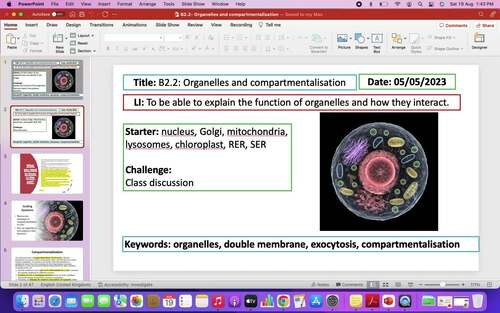 IB Biology: B2.2 Organelles and compartmentalisation (first exams in 2025)