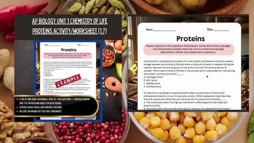 AP Biology UNIT 1 Chemistry of Life 1.7 Proteins Worksheet Labeling ...
