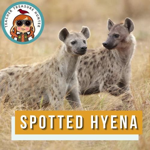 Hyena research information article for writing animal reports | TPT