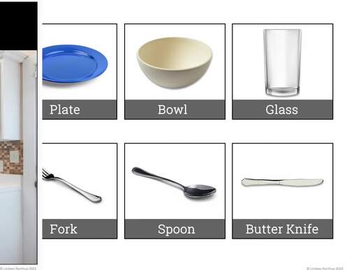 ADL Object Sorting Activity for Adult Speech Therapy | Dementia & Aphasia